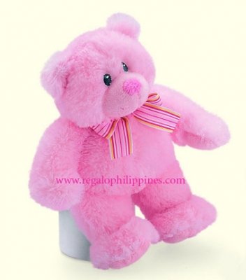 Blue Magic Teddy Bear